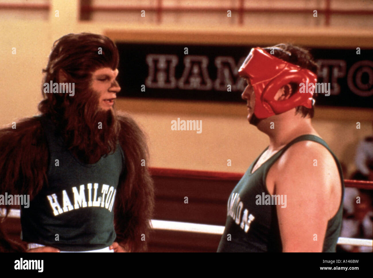 Teen wolf 1985 michael fox hi-res stock photography and images - Alamy