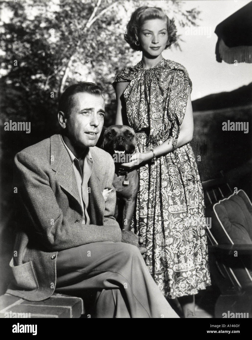 Lauren bacall humphrey bogart dog hi-res stock photography and images ...