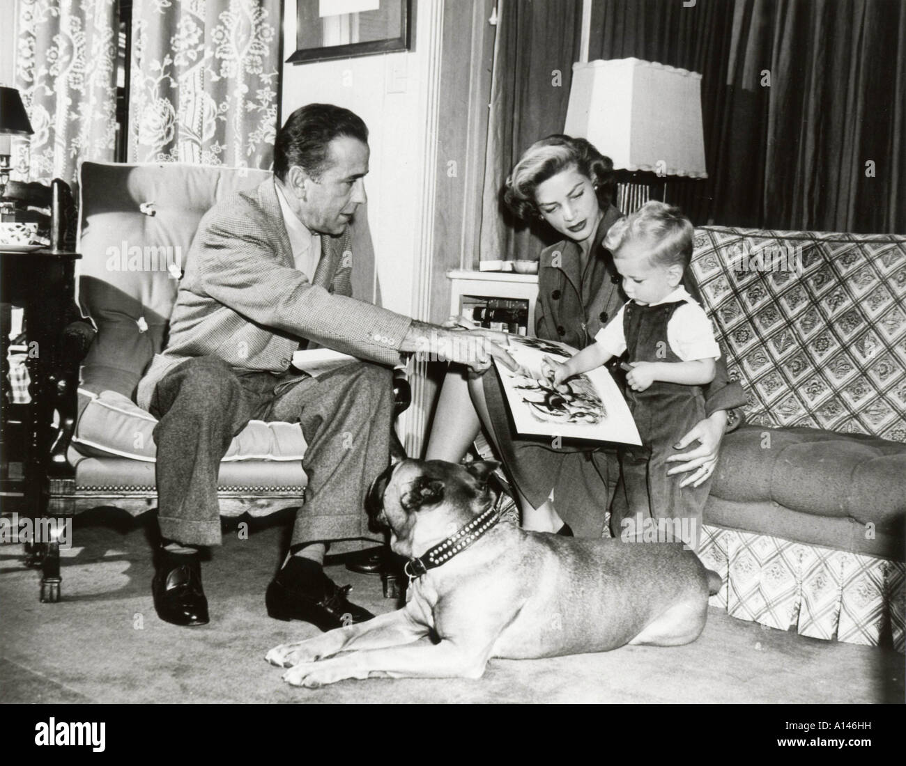Lauren bacall humphrey bogart dog hi-res stock photography and images ...