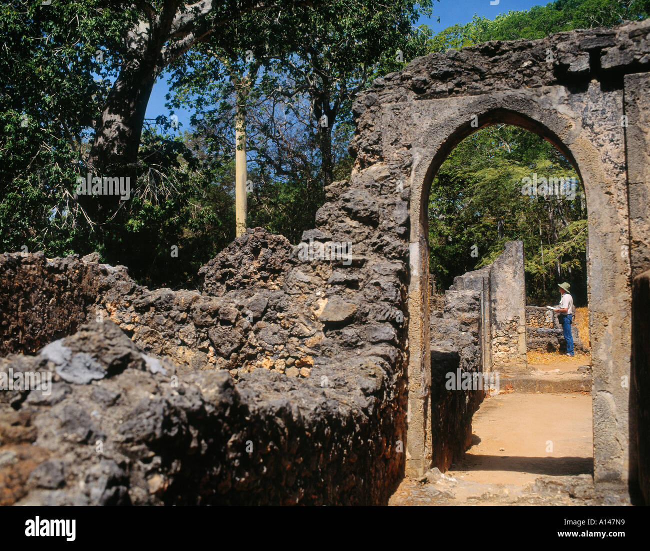 Gedi ruins hi-res stock photography and images - Alamy