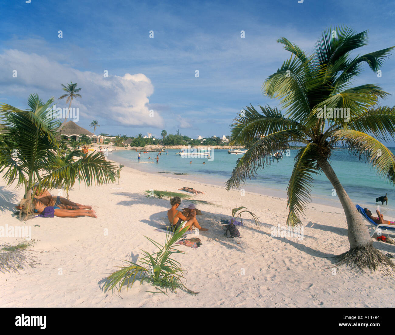 Akumal beach Quintana Roo Yucatan Mexico Stock Photo - Alamy