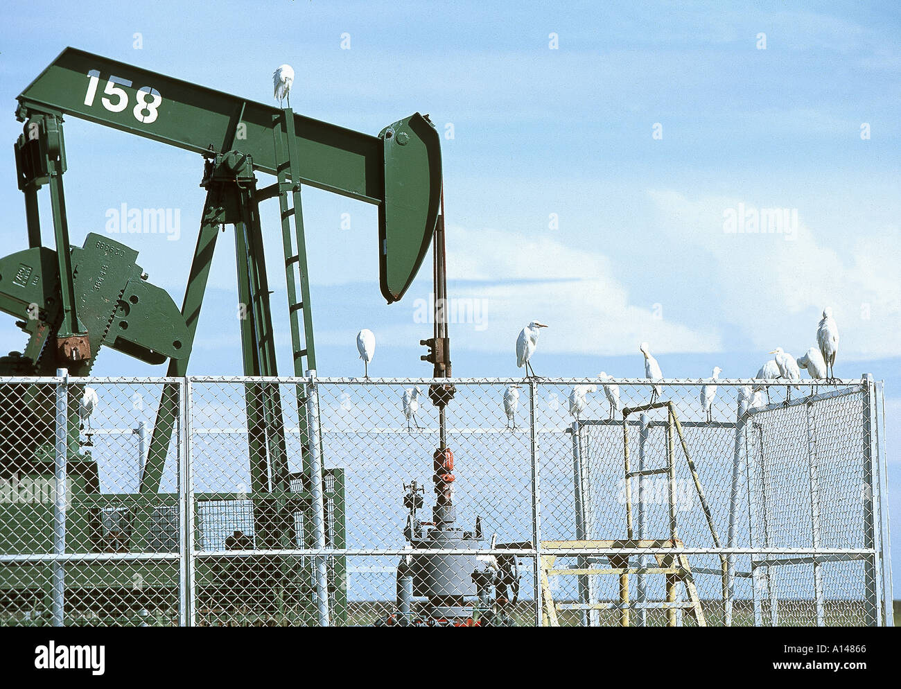 Oil donkey hi-res stock photography and images - Alamy