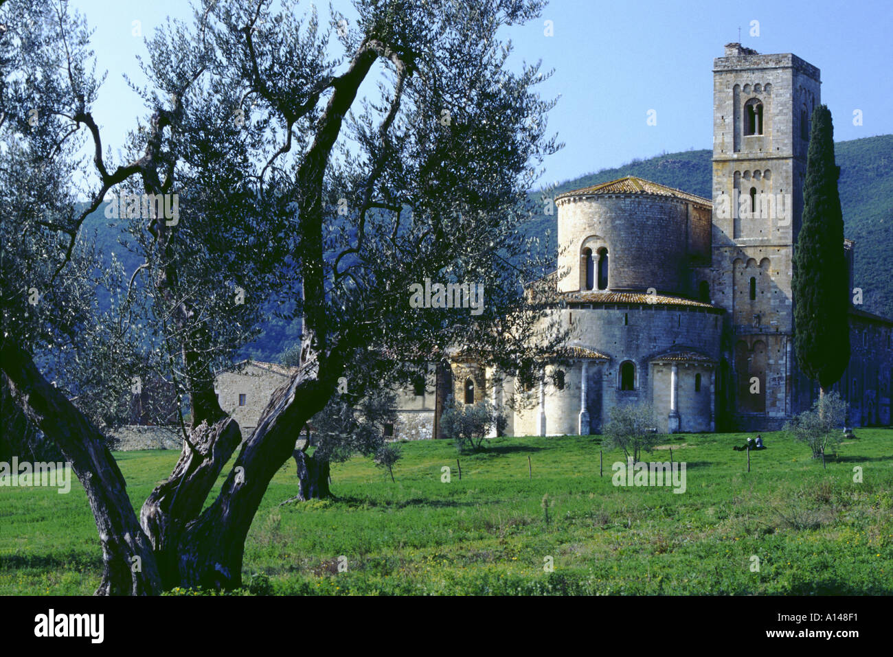 Italy Tuscany monastery abbey church S Antimo near Montalcino Stock ...