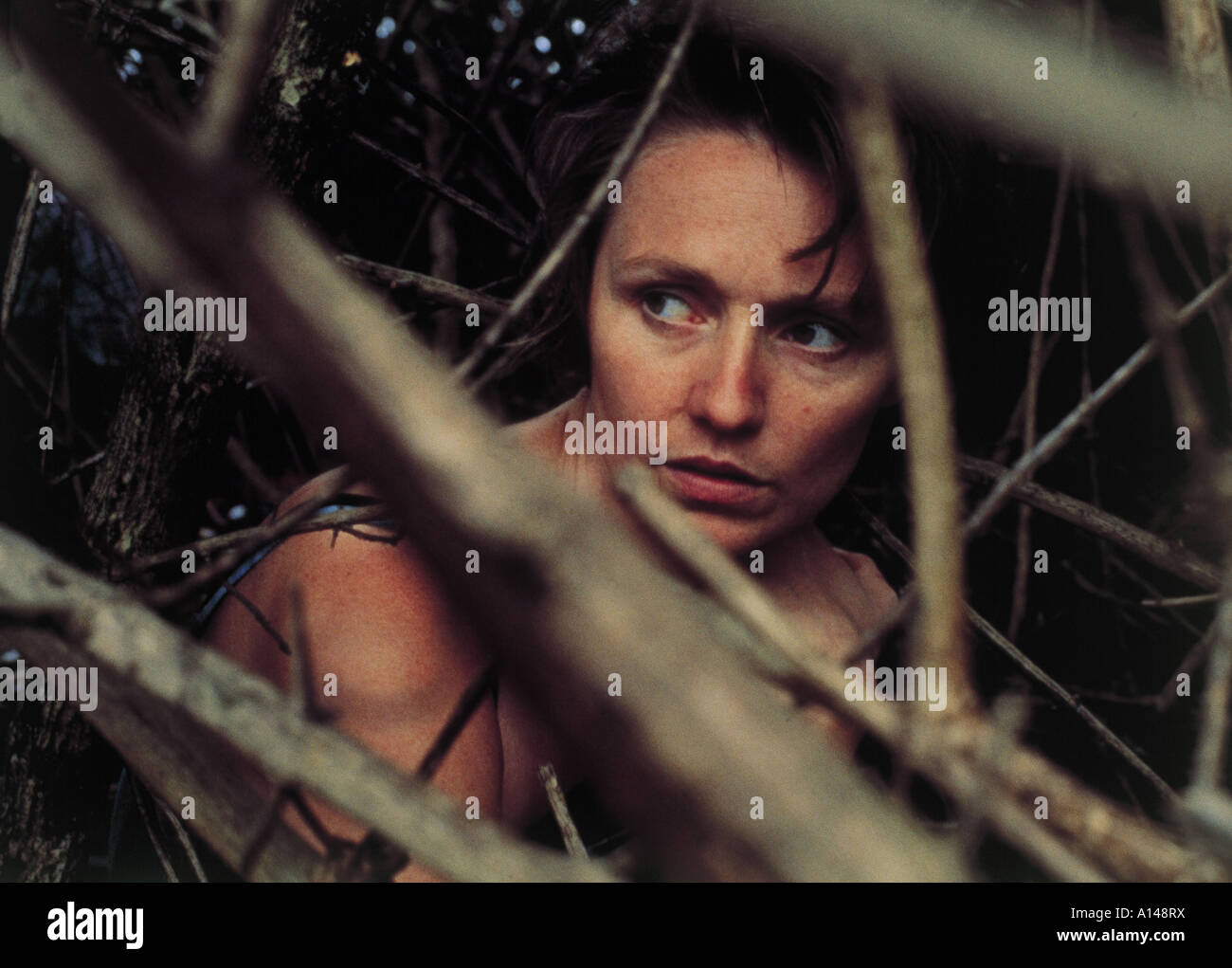 Lantana Year 2001 Director Ray Lawrence Rachael Blake Stock Photo - Alamy