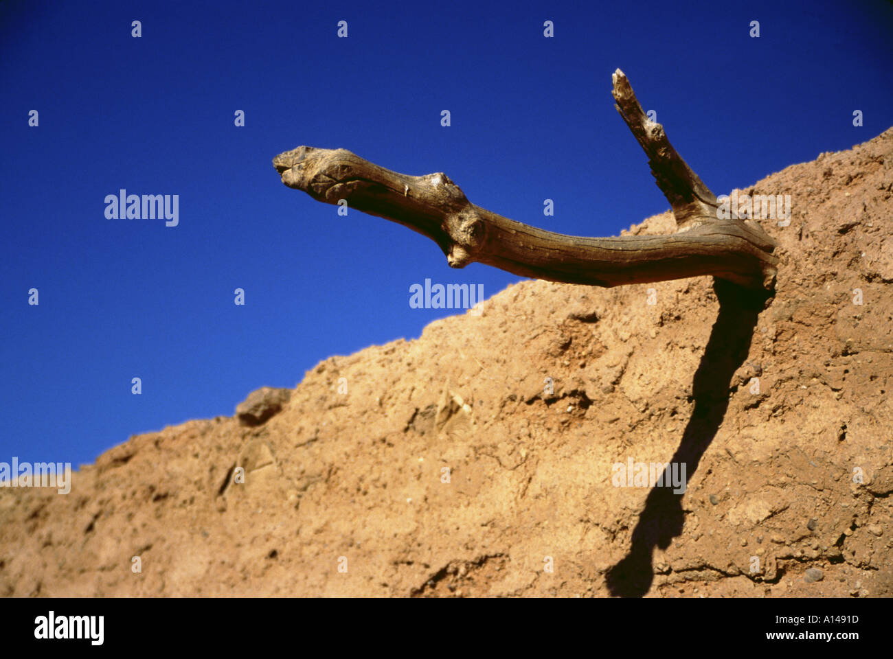 loam construction wood house wall desert Libya Sahara girder Stock ...