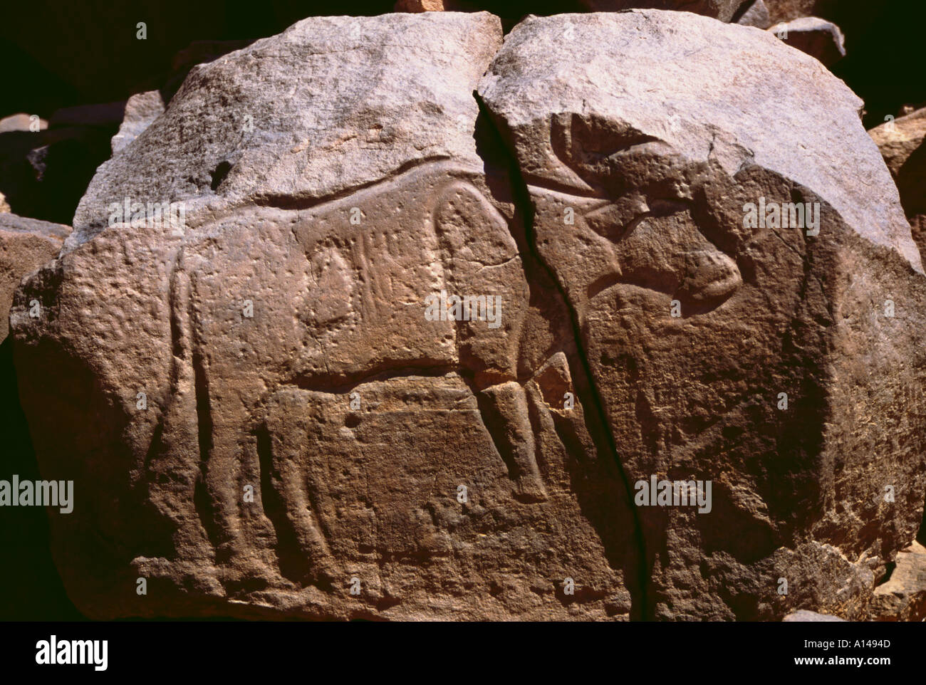 Libya Wadi Mathandous rock paintings historic Stock Photo - Alamy
