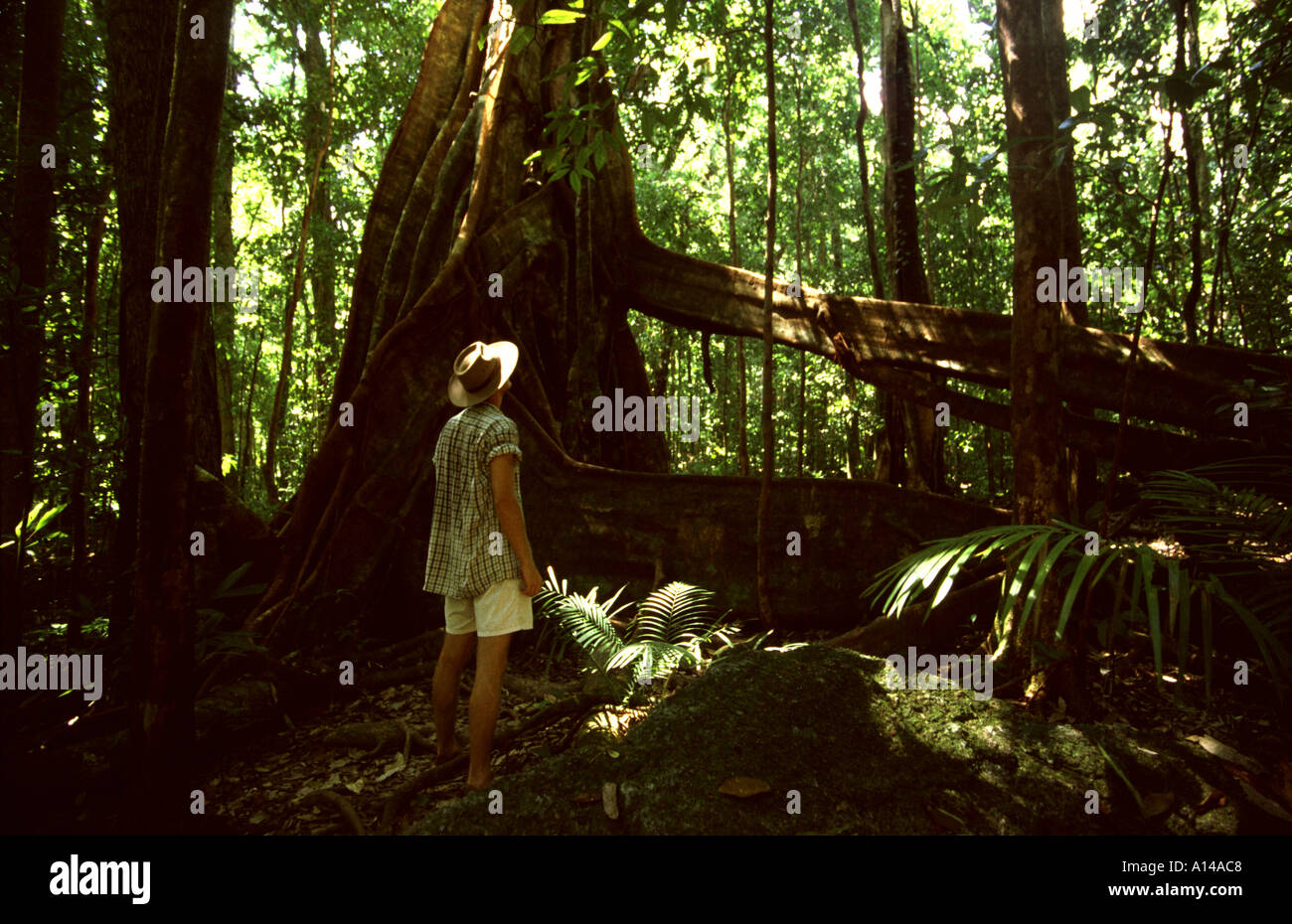 Bushman australia hi-res stock photography and images - Alamy