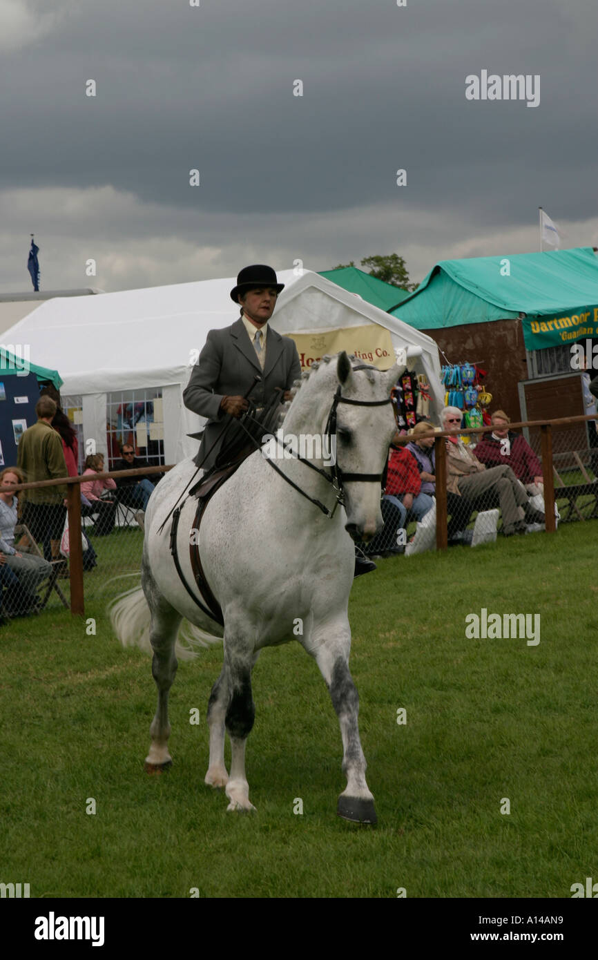 Woman riding side saddle hi-res stock photography and images - Alamy