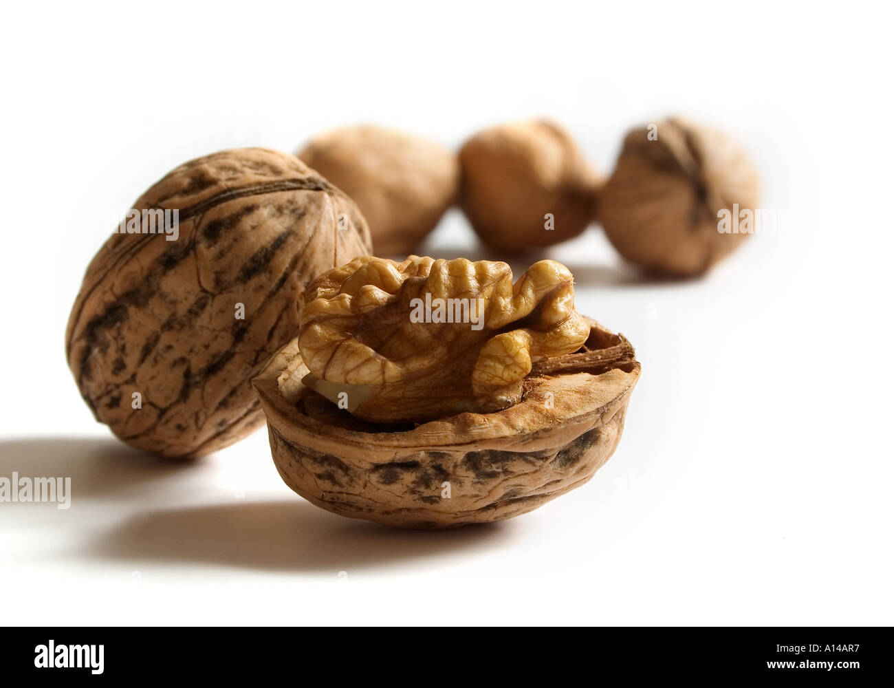Wrinkly Walnut Shell High Resolution Stock Photography and Images - Alamy