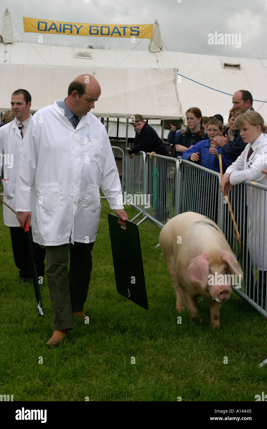 Pigman hi-res stock photography and images - Alamy