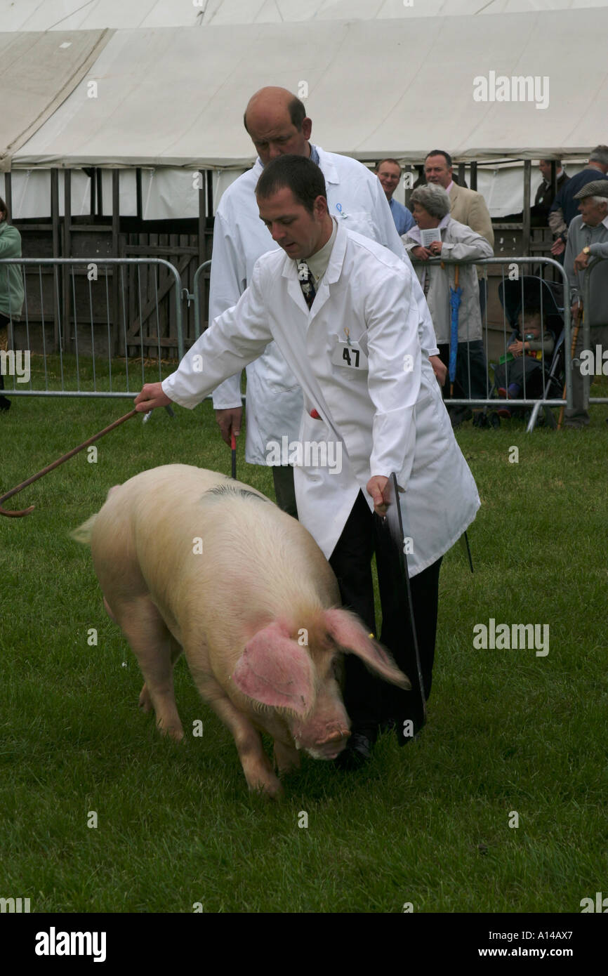 Pigman hi-res stock photography and images - Alamy