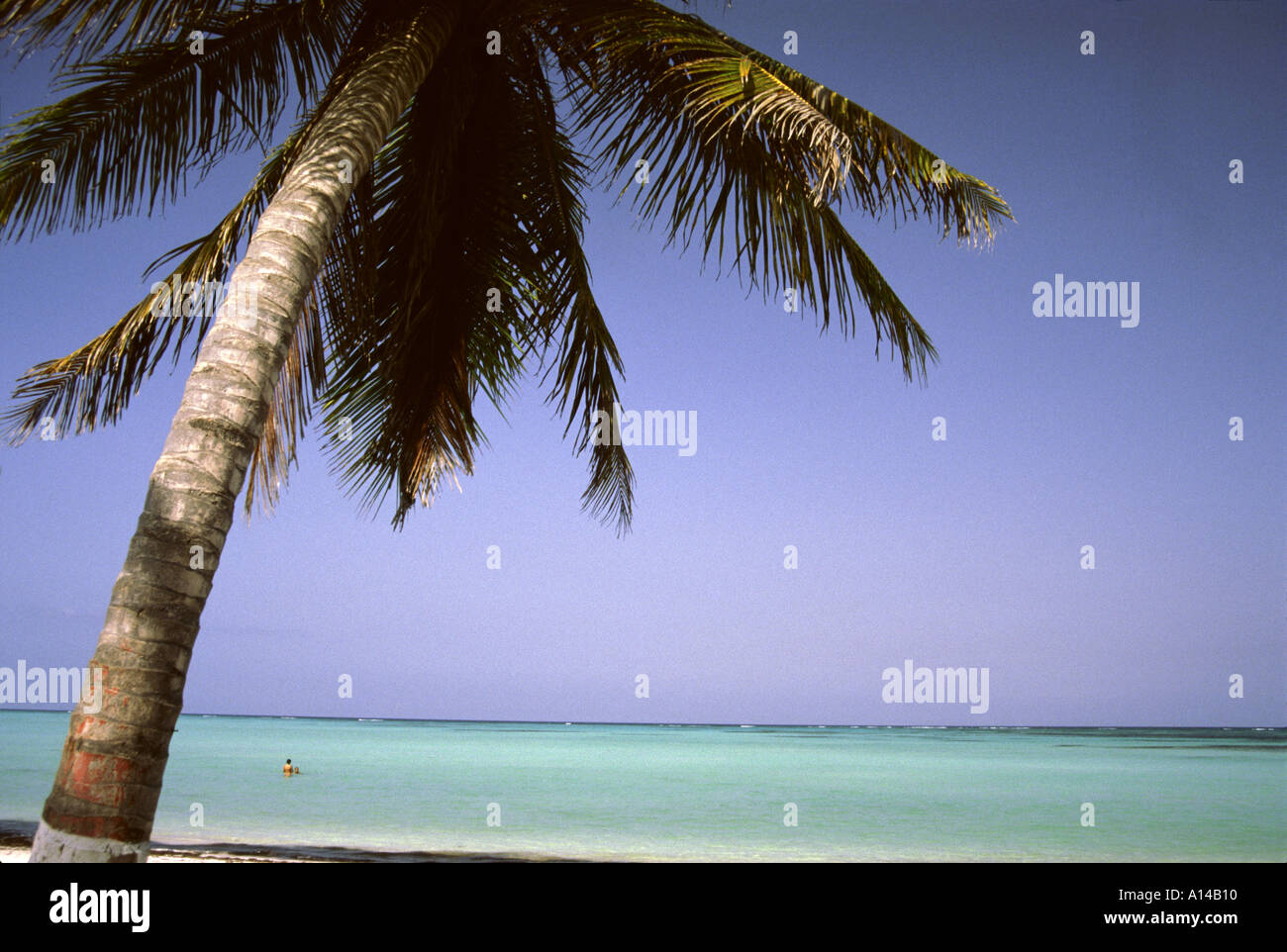 Punta mona hi-res stock photography and images - Alamy