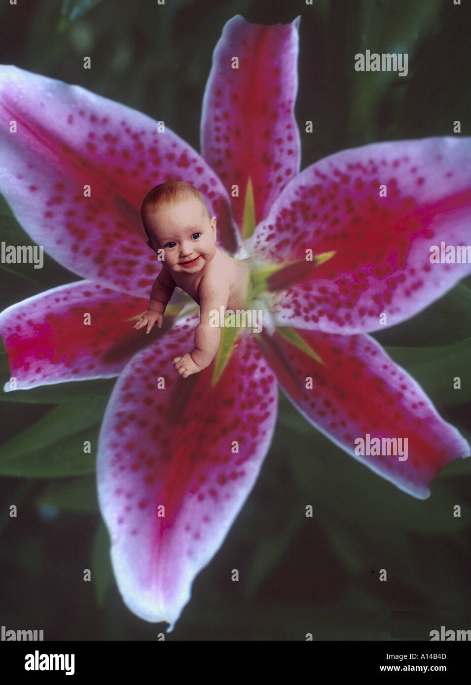 A child is born Stock Photo - Alamy