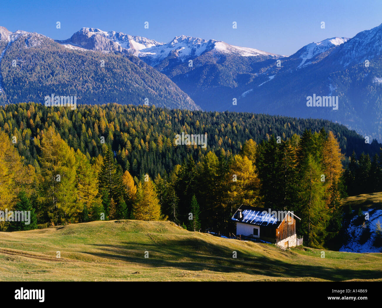 Costalung hi-res stock photography and images - Alamy