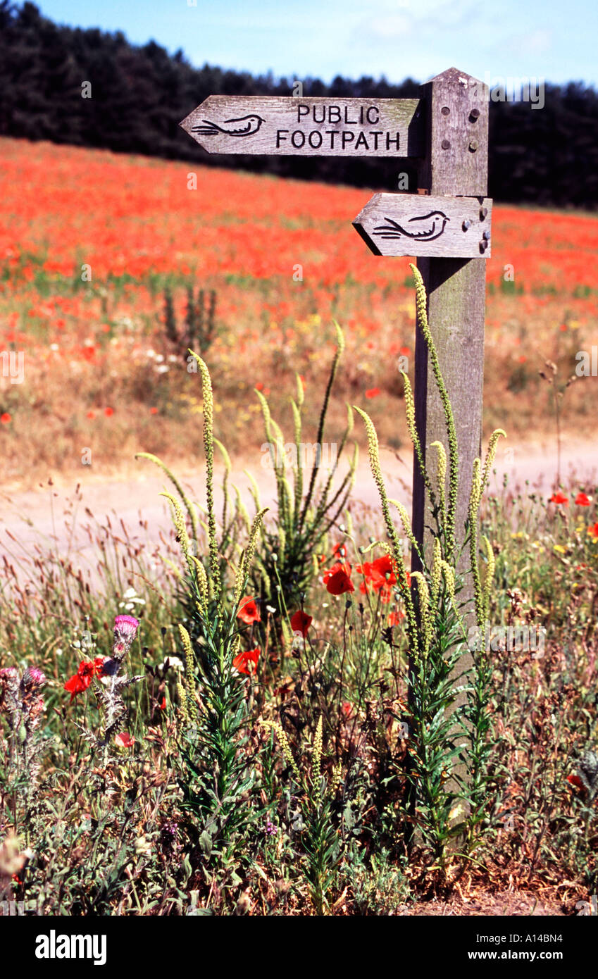 Footpath sign bird hi-res stock photography and images - Alamy