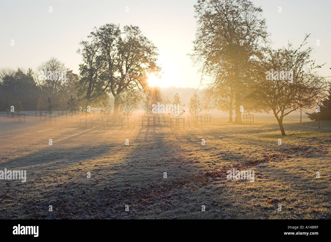 Peckham rye park hi-res stock photography and images - Alamy