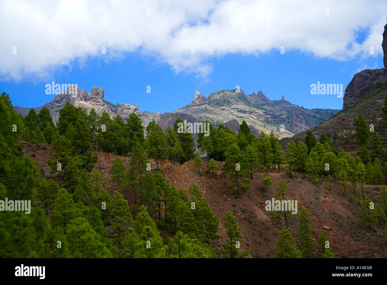 Berge im Licht Mountains Light Stock Photo - Alamy
