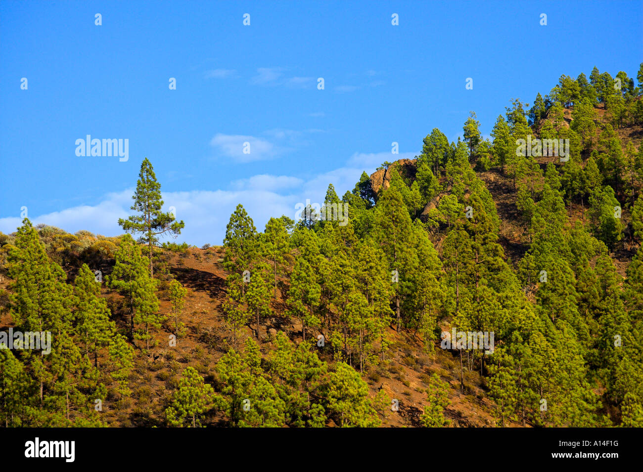 Berge im Licht Mountains Light Stock Photo - Alamy