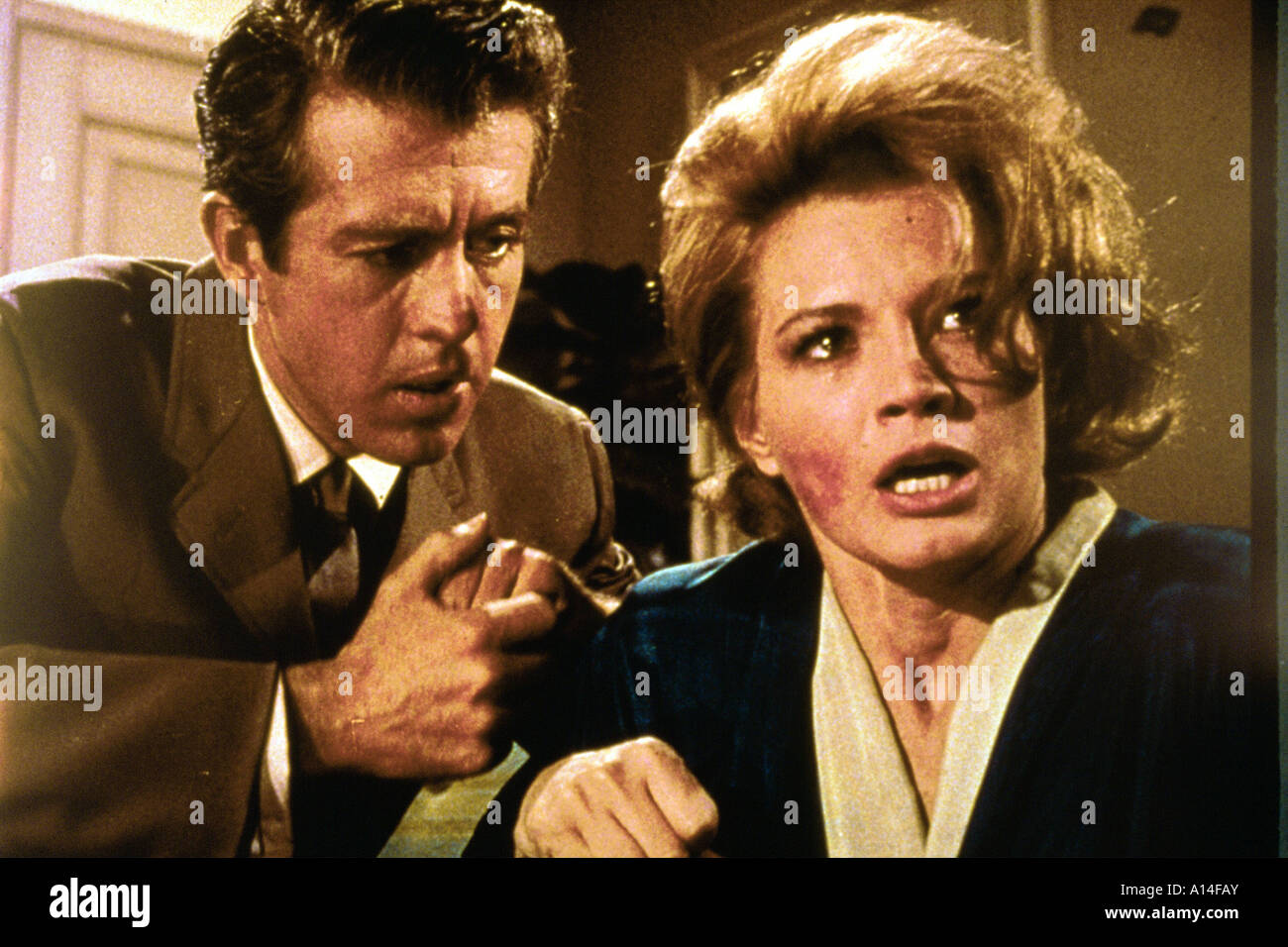 The Killers Year 1964 Director Don Siegel Angie Dickinson Based on the ...