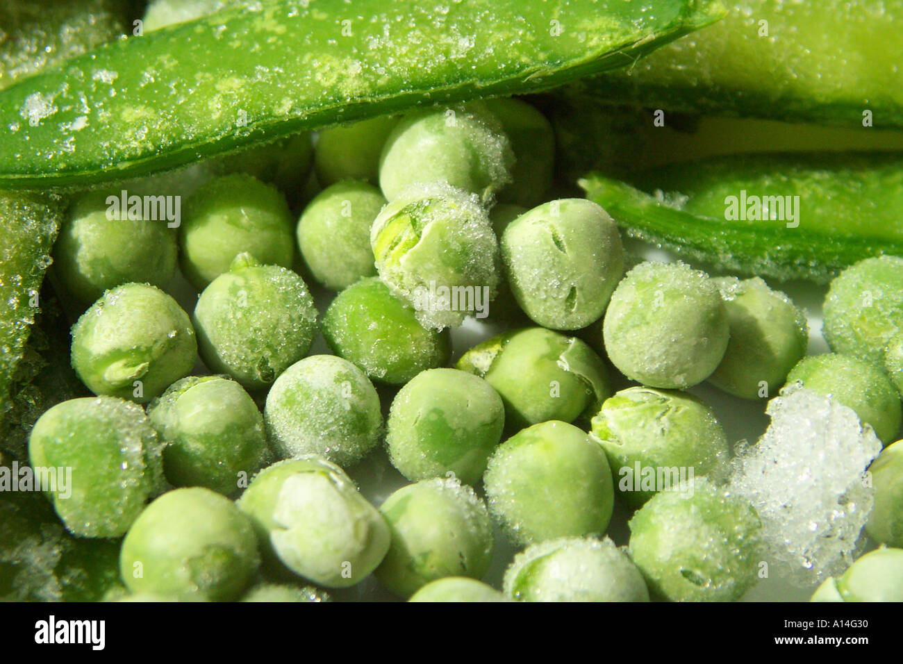 Frozen farmer hi-res stock photography and images - Alamy