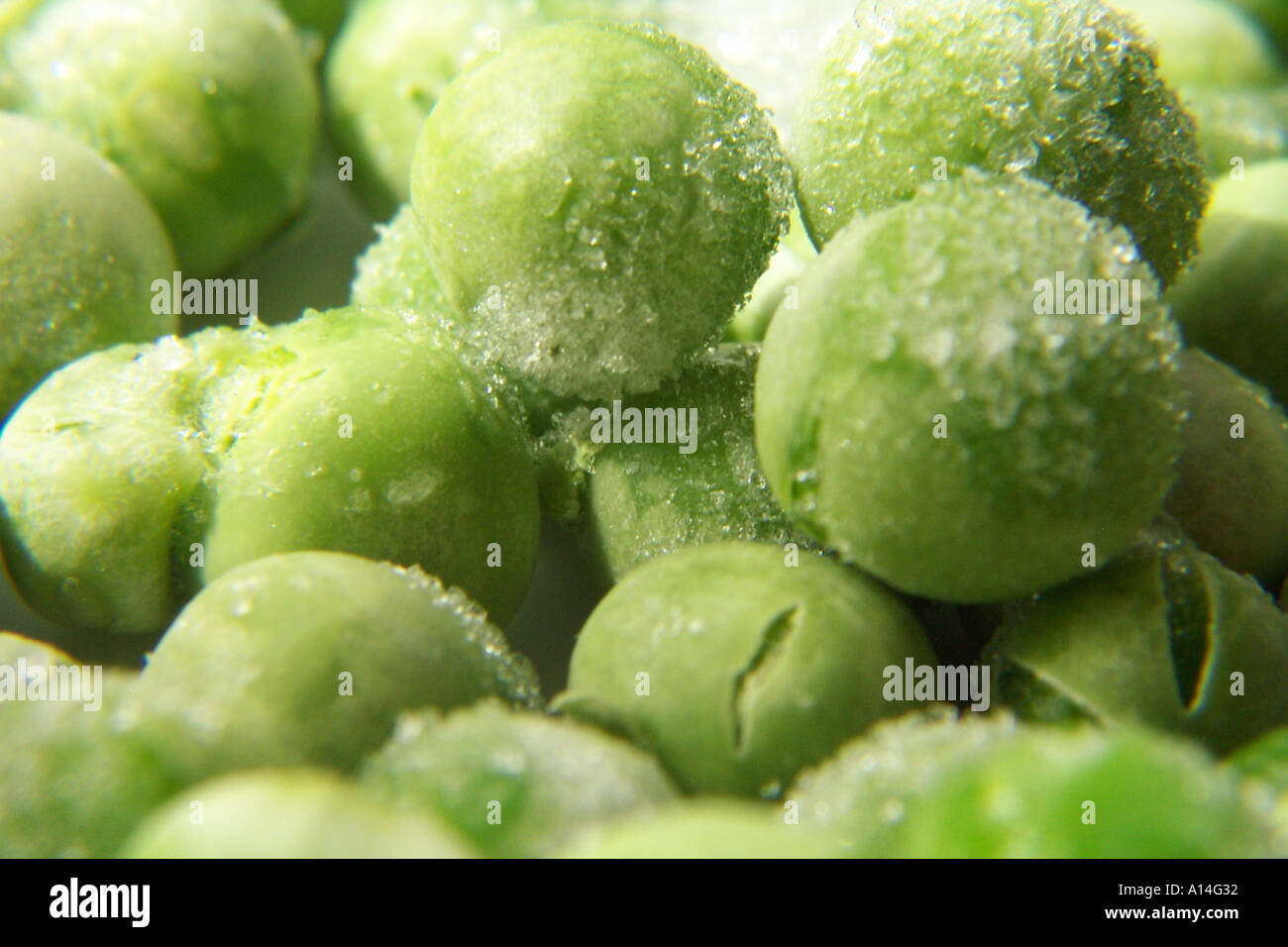 Frozen farmer hi-res stock photography and images - Alamy