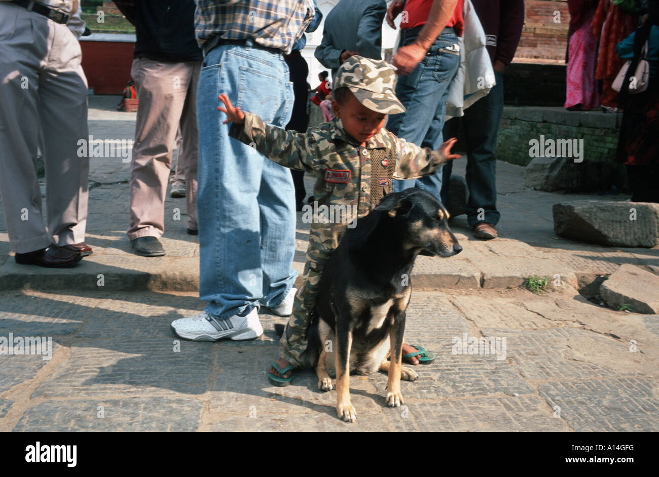 Nepali street dog hi-res stock photography and images - Alamy