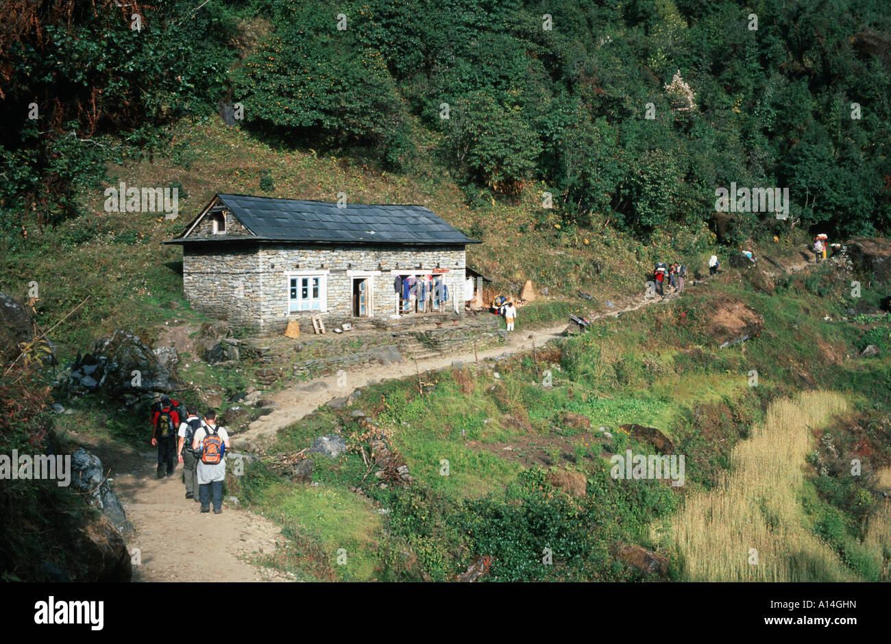 Tea houses and trekkers, Himalayas, Nepal, Asia Stock Photo - Alamy
