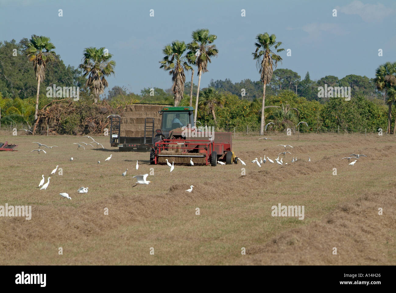 Bailing hi-res stock photography and images - Alamy