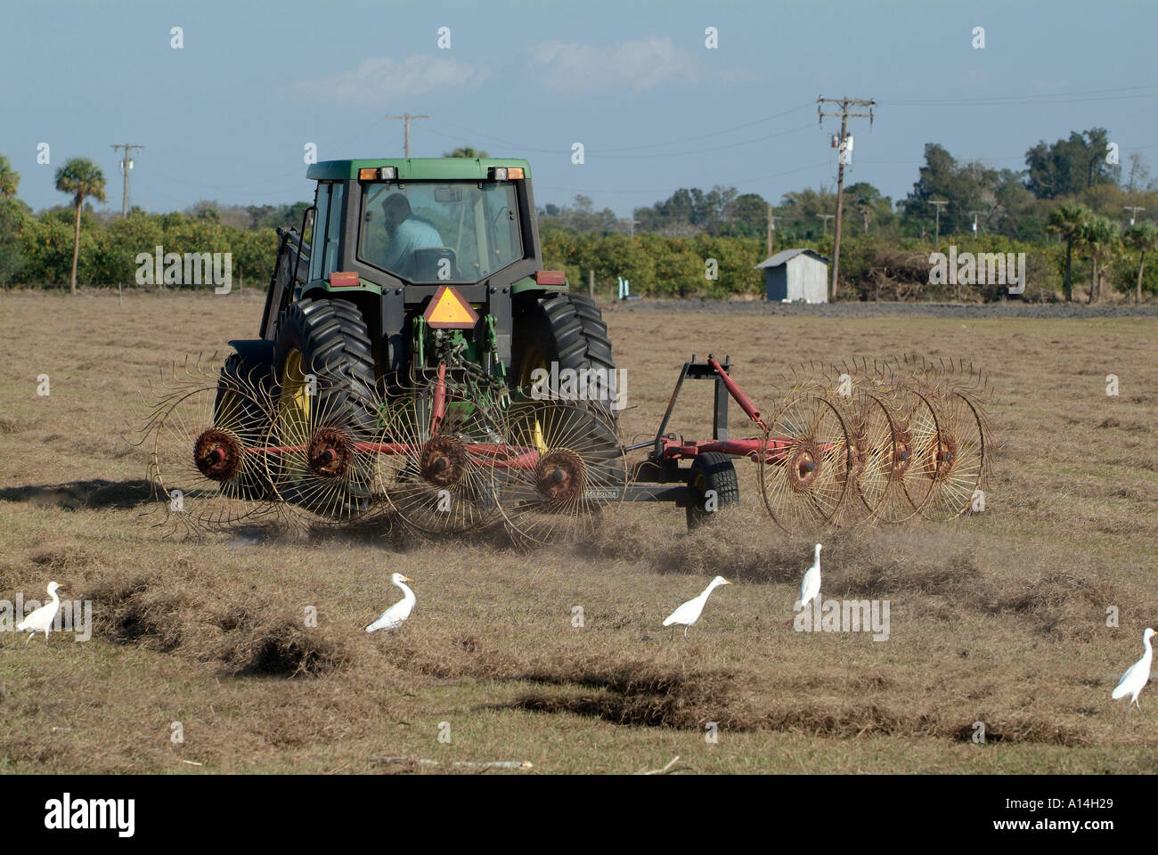 Tractor bailing hay in farm hi-res stock photography and images - Alamy