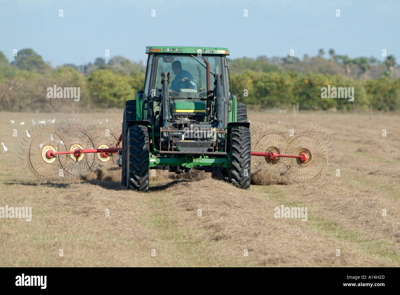 Bailing hay hi-res stock photography and images - Alamy