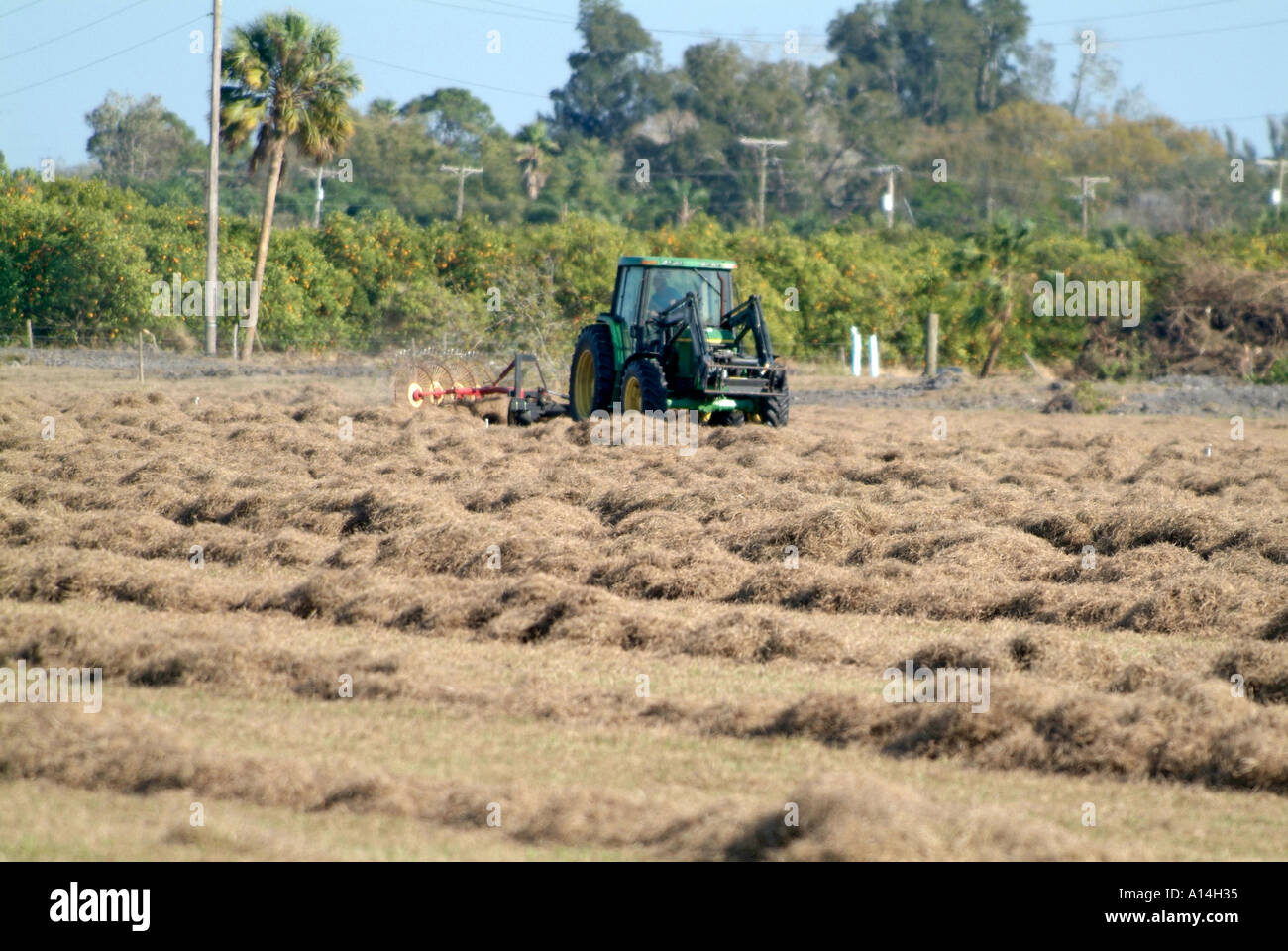 Tractor bailing hay in farm hi-res stock photography and images - Alamy