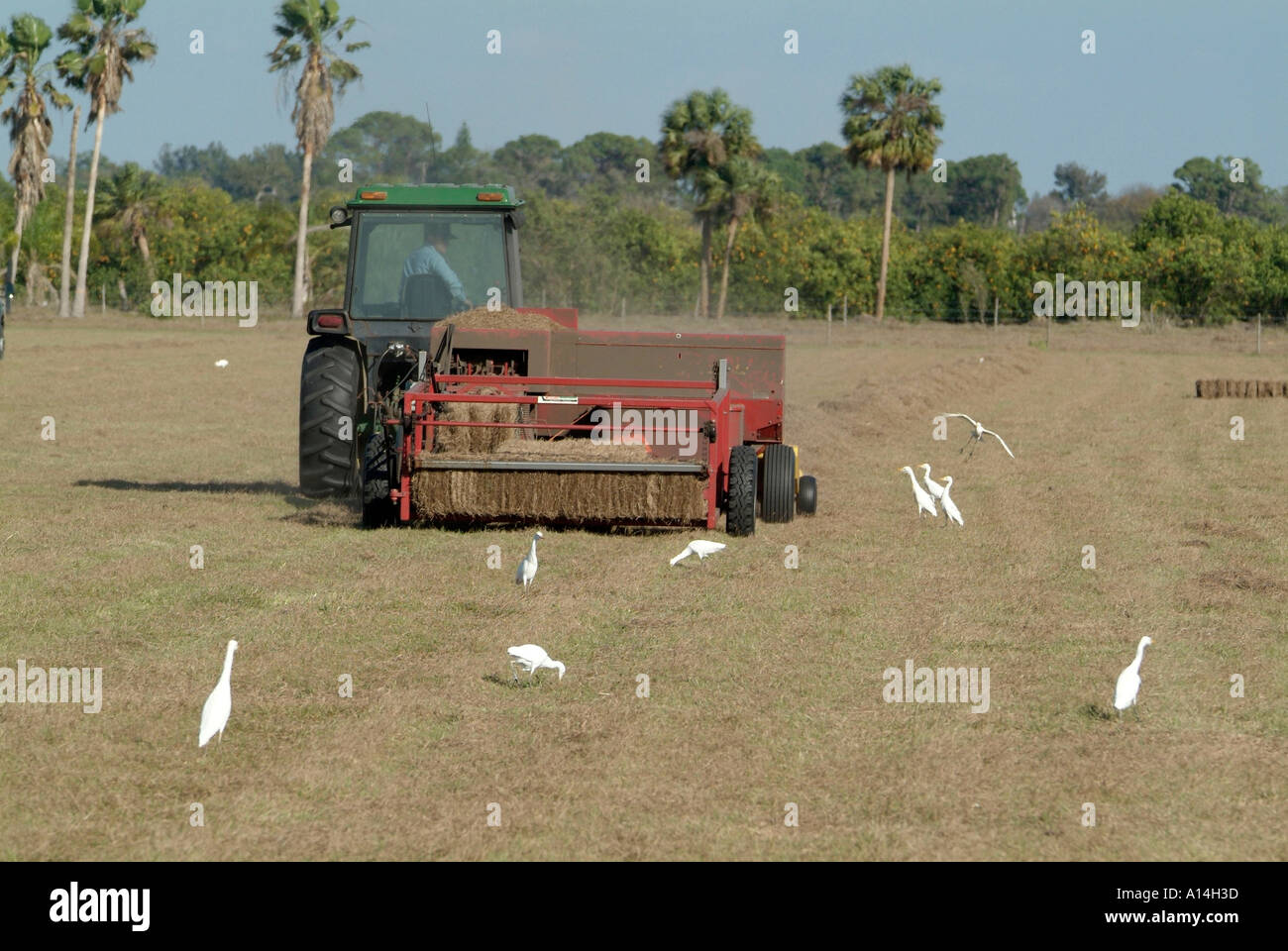 Tractor bailing hay in farm hi-res stock photography and images - Alamy