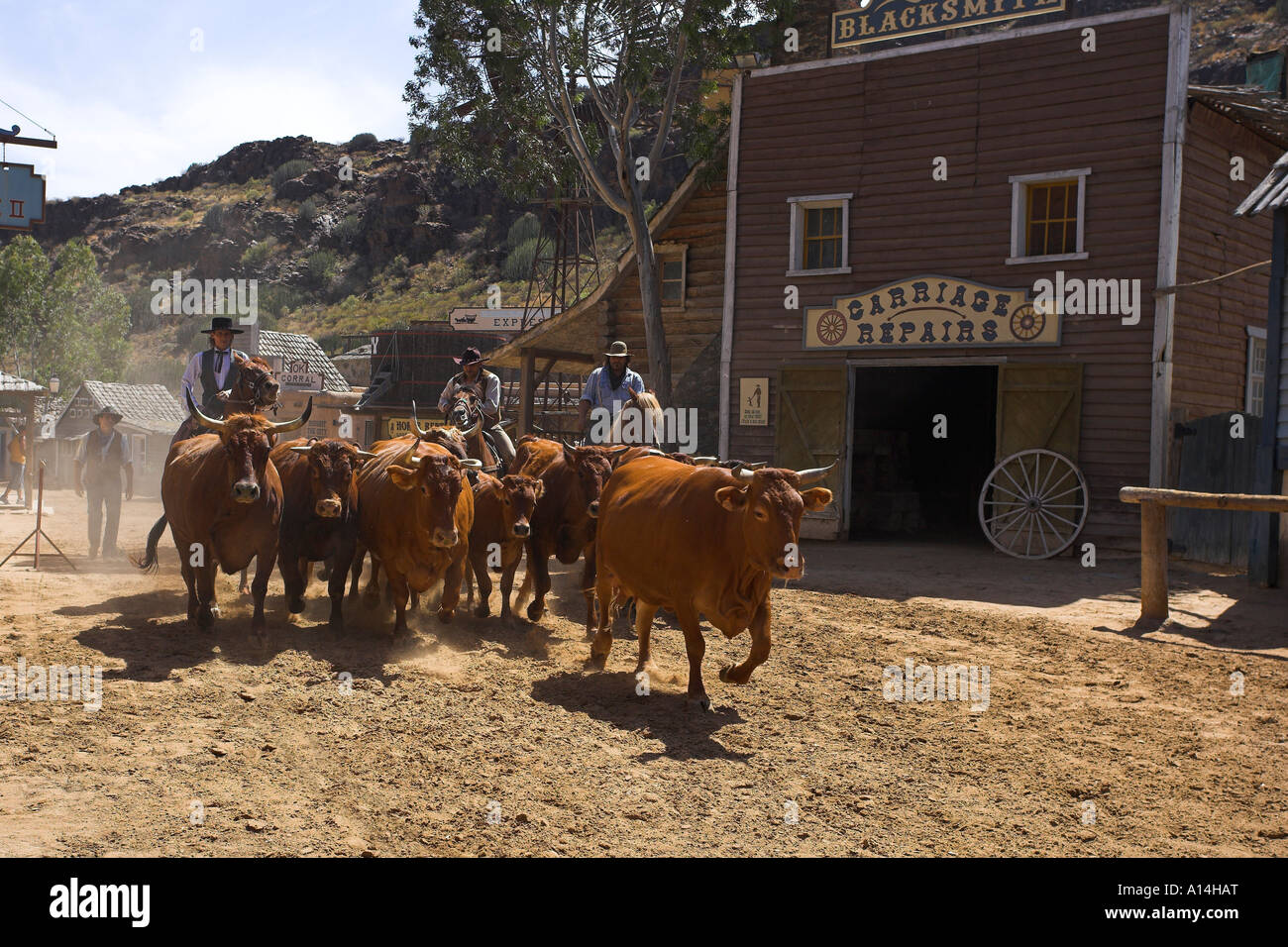Cattle dealer hi-res stock photography and images - Alamy