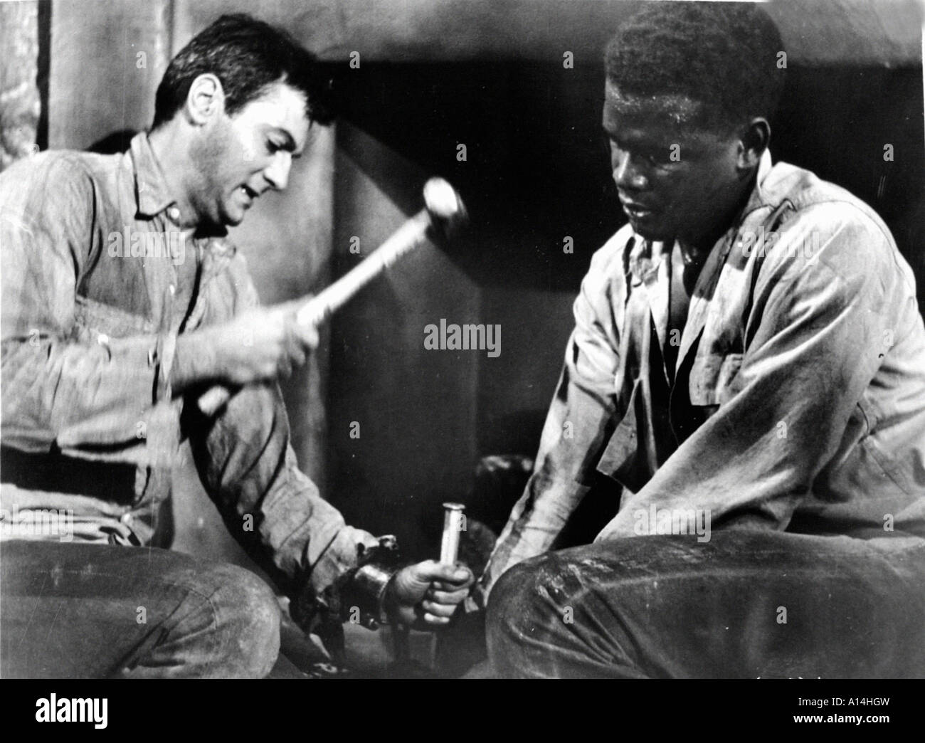The defiant ones 1958 Stanley Kramer Tony Curtis Sidney Poitier Stock ...