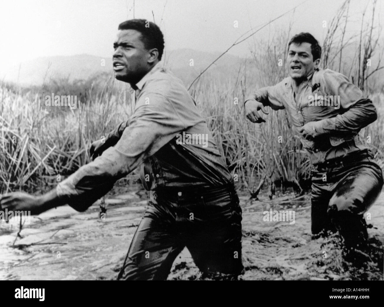 The defiant ones 1958 Stanley Kramer Tony Curtis Sidney Poitier Stock ...