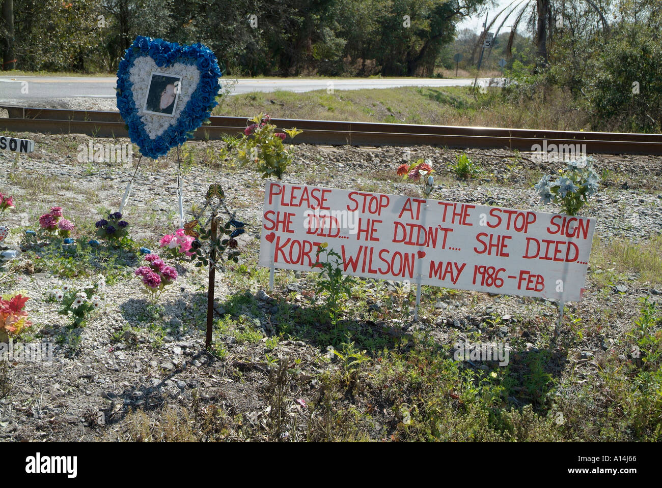 Roadside memorial for a young woman killed by a drunk driver who ran a ...