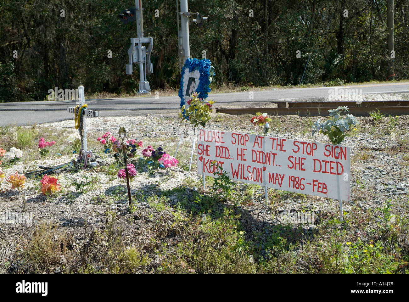Roadside memorial for a young woman killed by a drunk driver who ran a ...