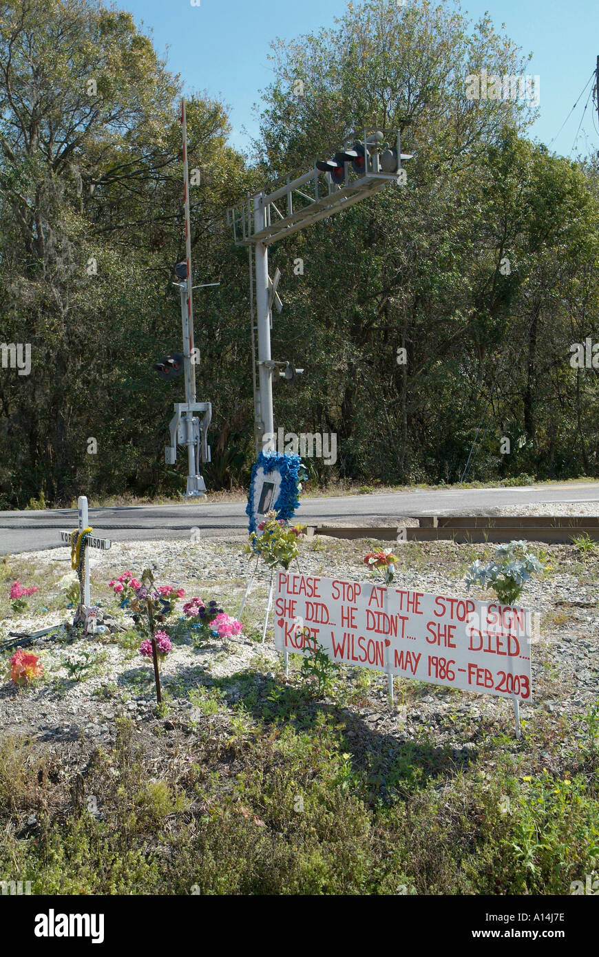 Roadside memorial for a young woman killed by a drunk driver who ran a ...