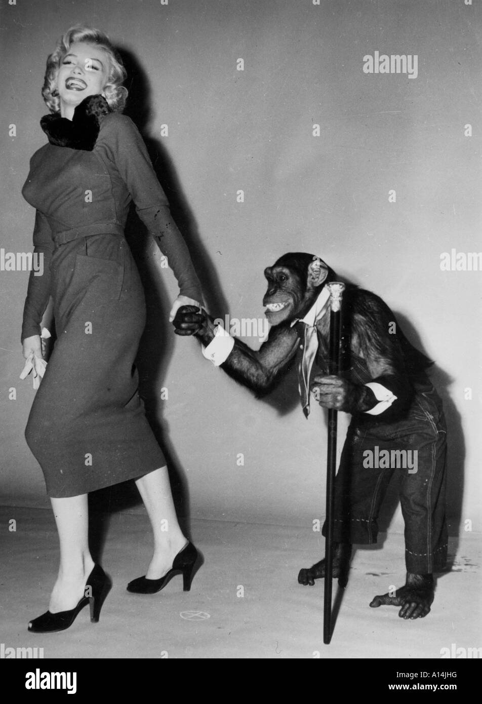 Monkey business 1952 Howard Hawks Marilyn Monroe Stock Photo - Alamy