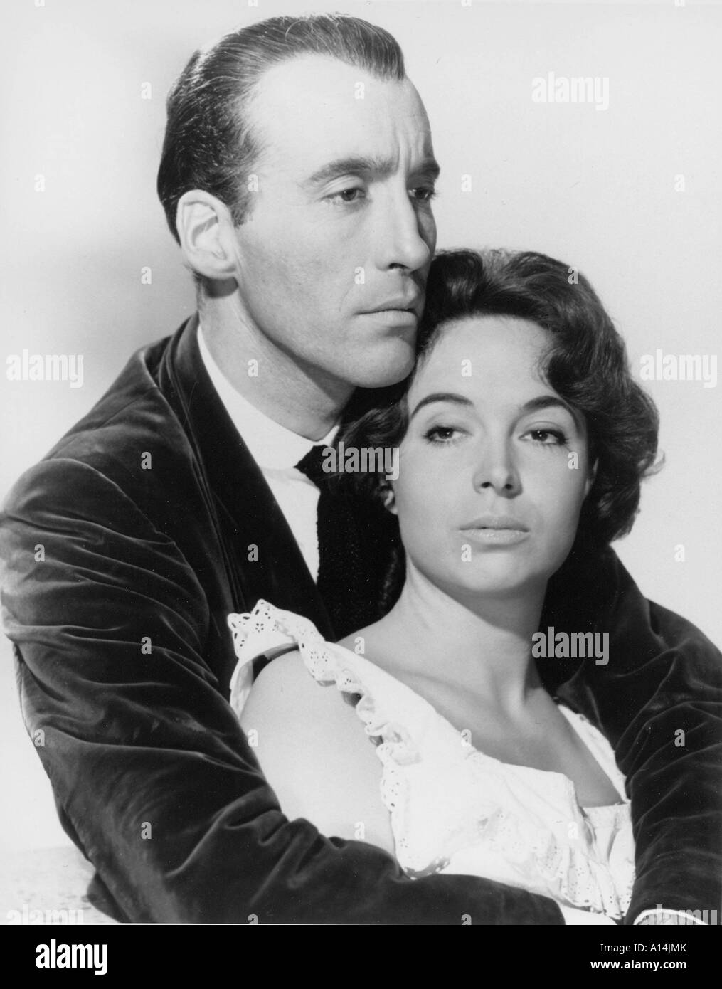 Baskerville Hound High Resolution Stock Photography and Images - Alamy