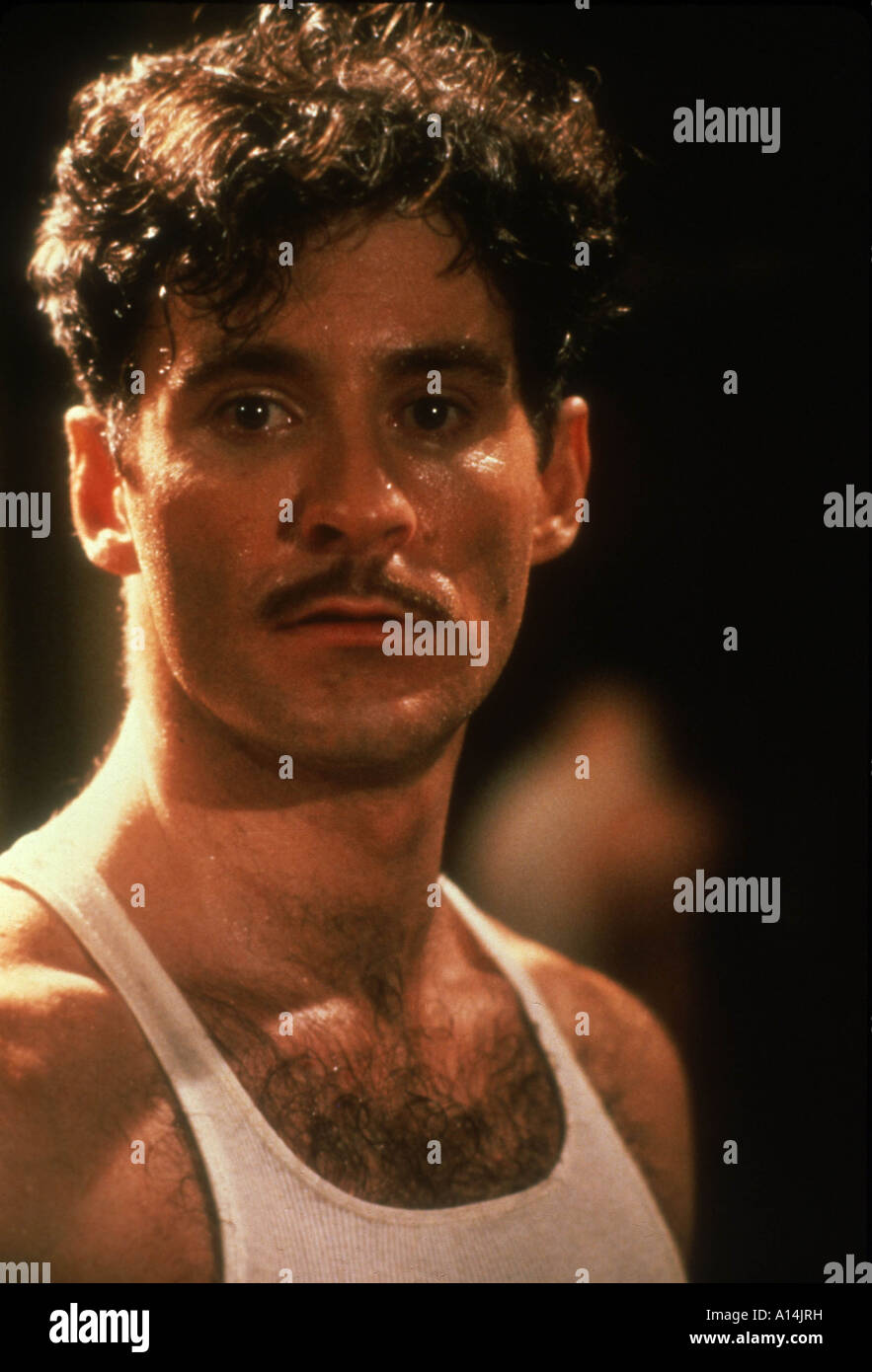 Sophie s choice 1982 Alan J Pakula Kevin Kline Stock Photo - Alamy