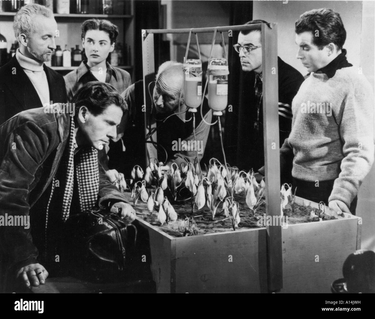 Martin Sheridan High Resolution Stock Photography and Images - Alamy