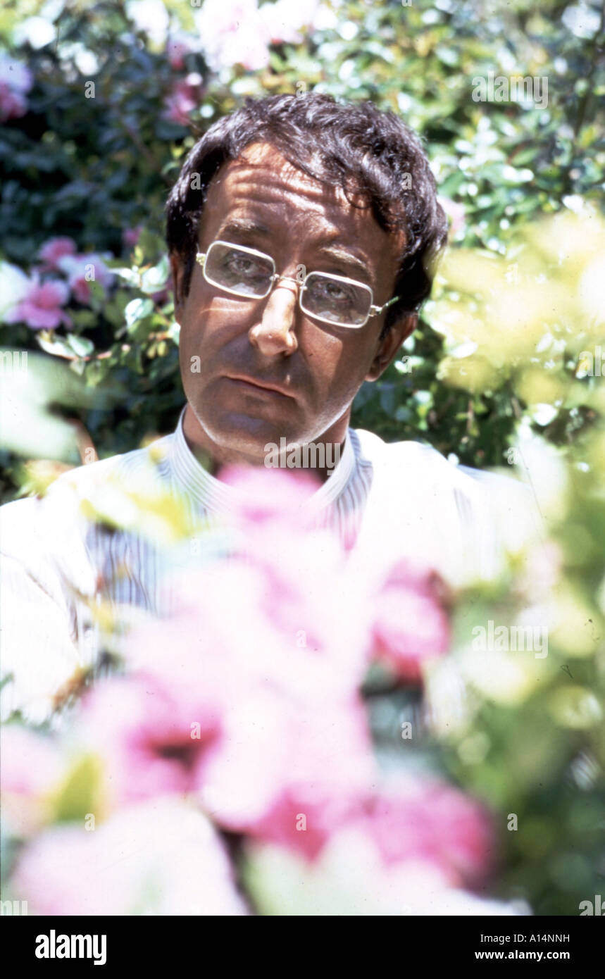 The bobo 1967 hi-res stock photography and images - Alamy