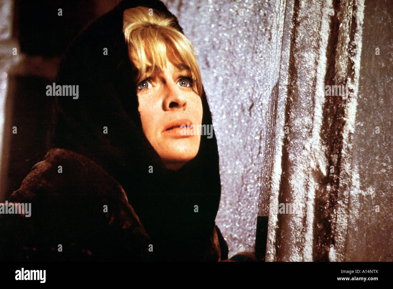 Doctor Zhivago 1965 David Lean Julie Christie Stock Photo - Alamy