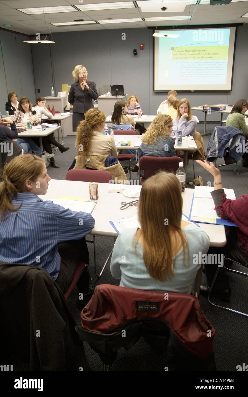 Michigan department of education power point presenter instructs public ...