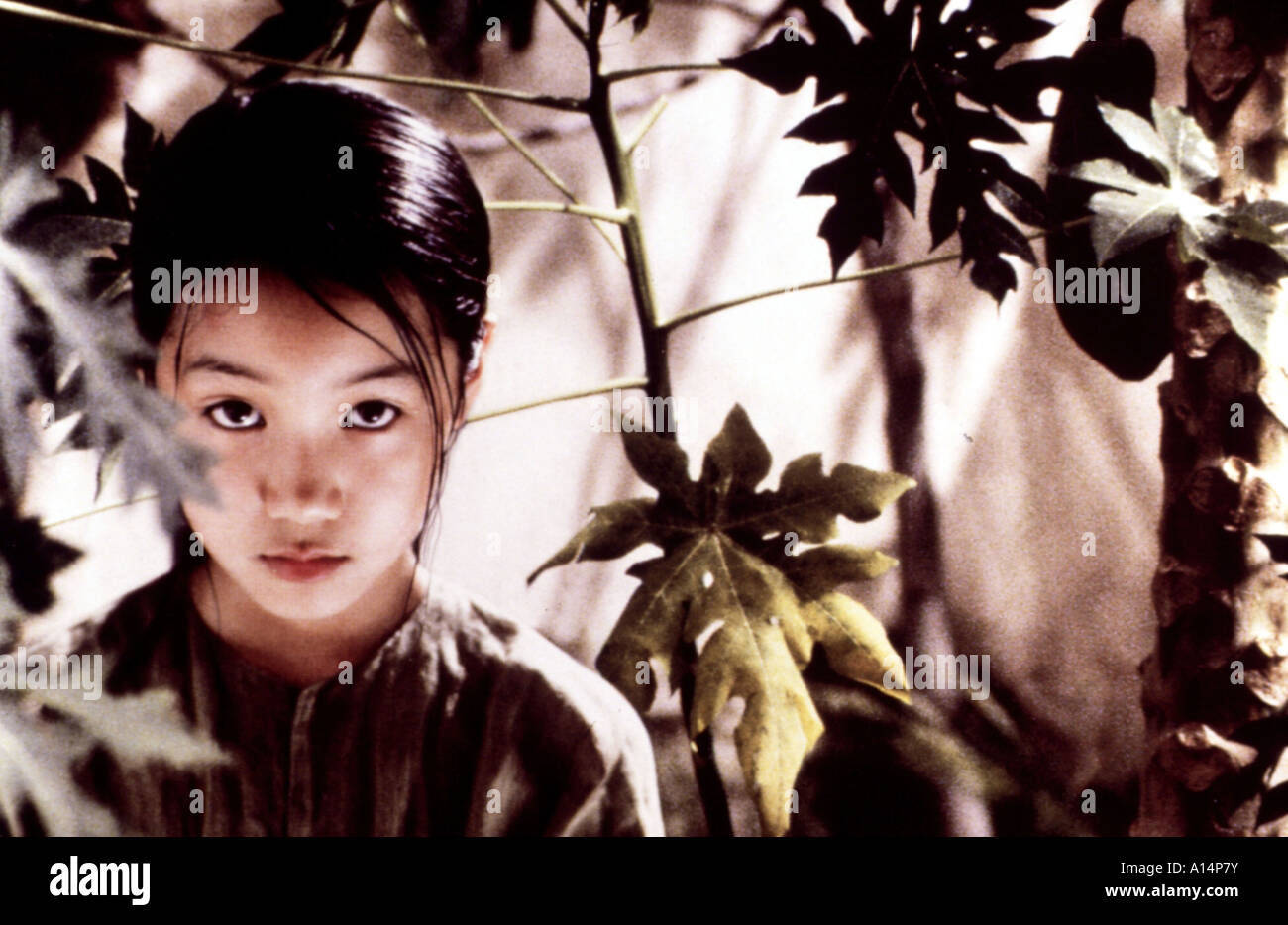 Man san lu hi-res stock photography and images - Alamy