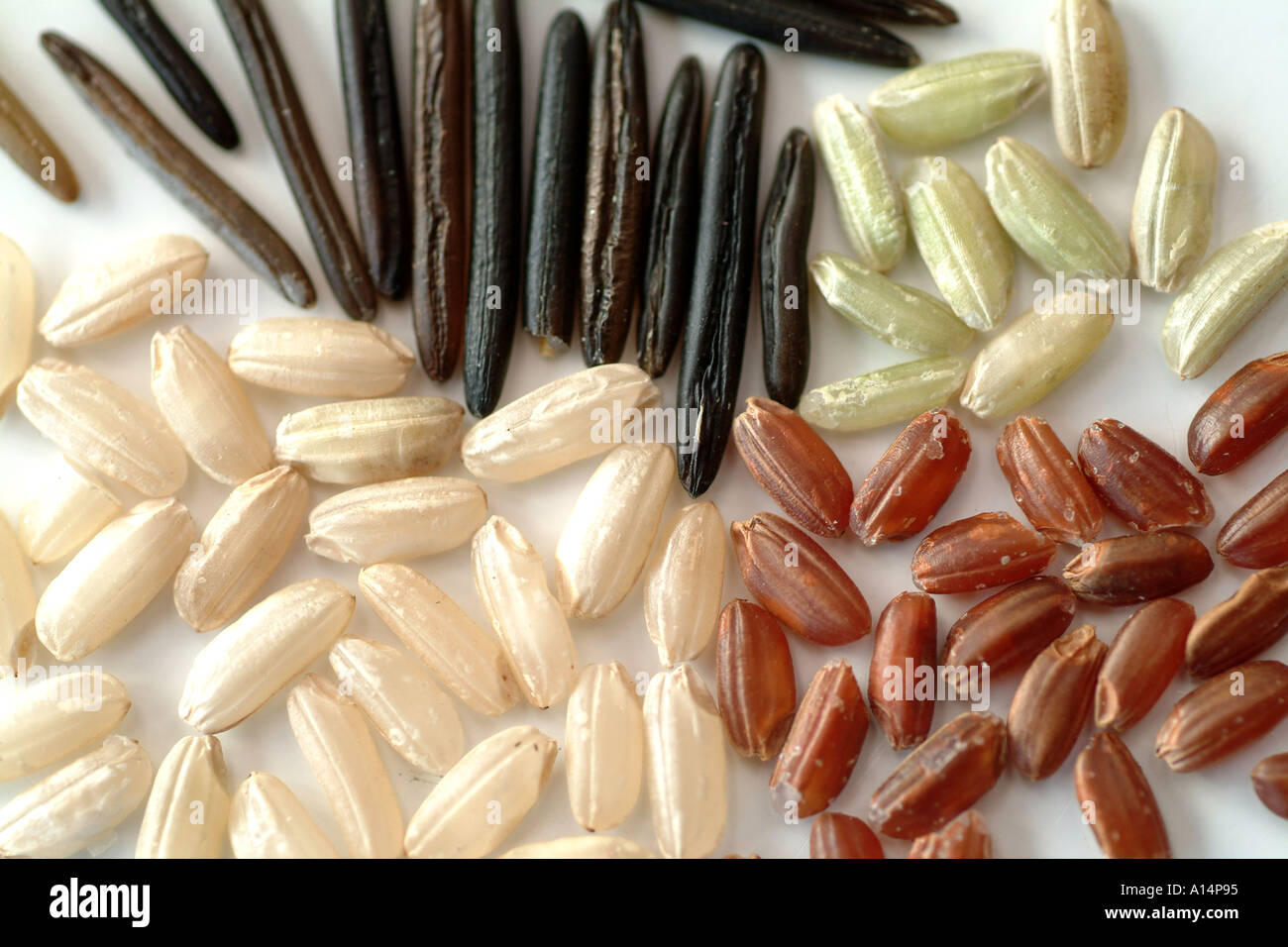 rice naturerice red rice sundries Stock Photo - Alamy