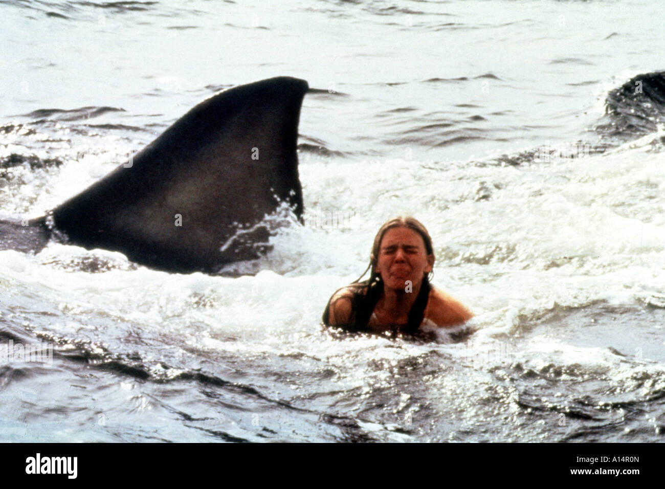 Jaws 1975 hi-res stock photography and images - Alamy