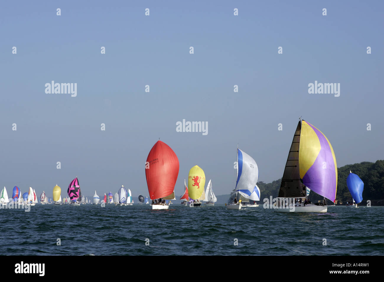 Morgan island hi-res stock photography and images - Alamy