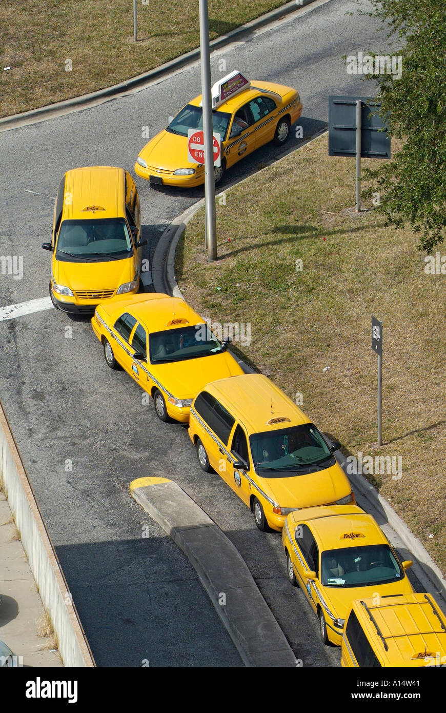 Taxi cabs line up for passengers at Tampa International Airport Florida ...